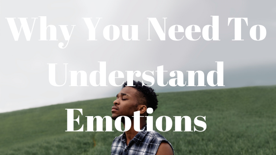 Why You Need To Understand Your Emotions (Part One) – S. R. Crawford