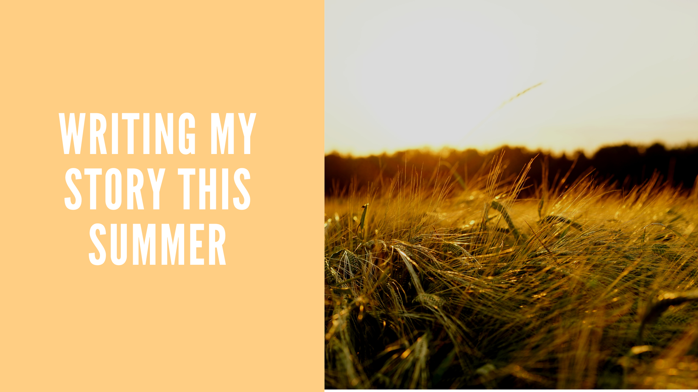 Writing my novel this summer – S. R. Crawford