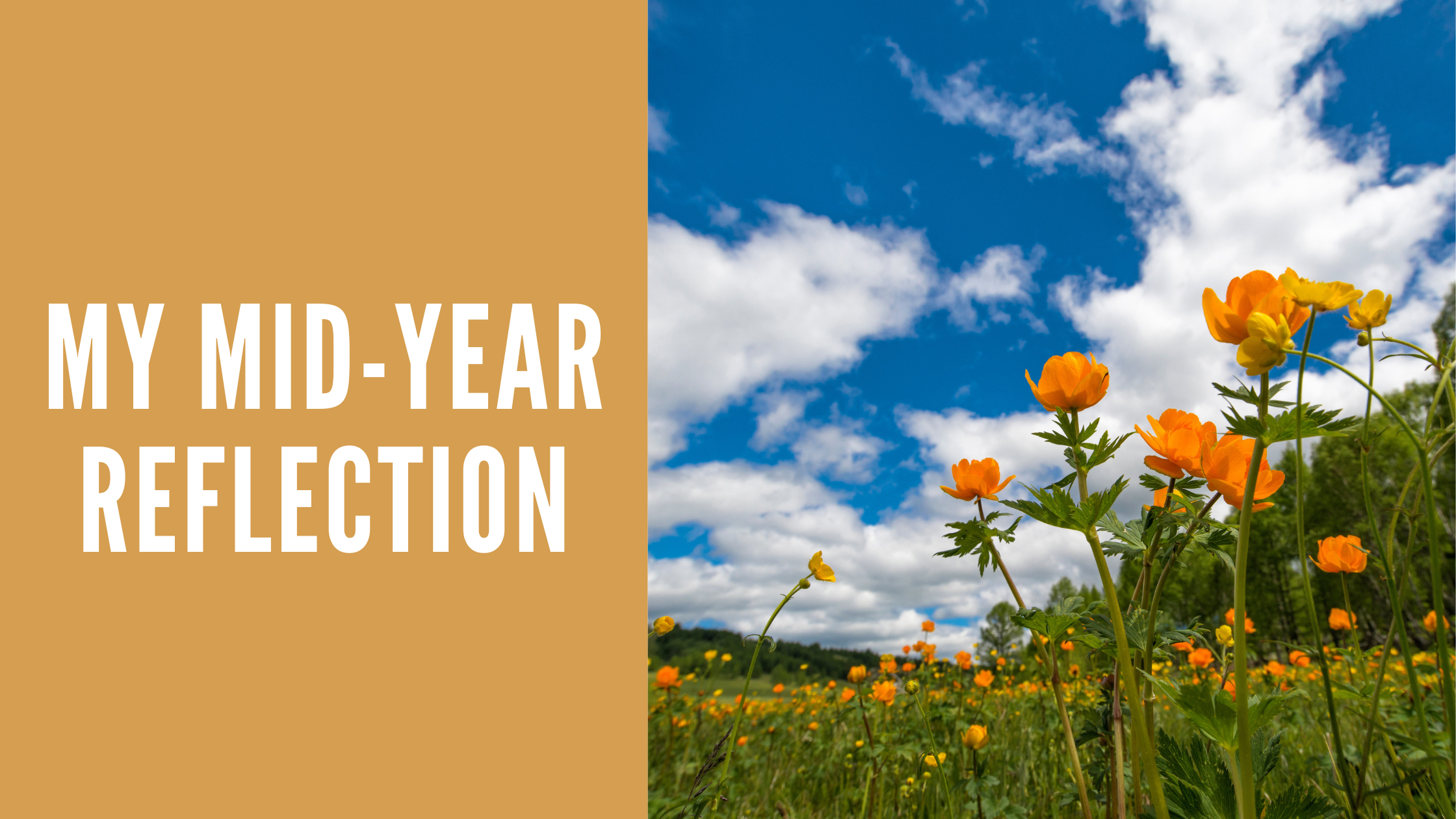 Mid-year reflection – S. R. Crawford