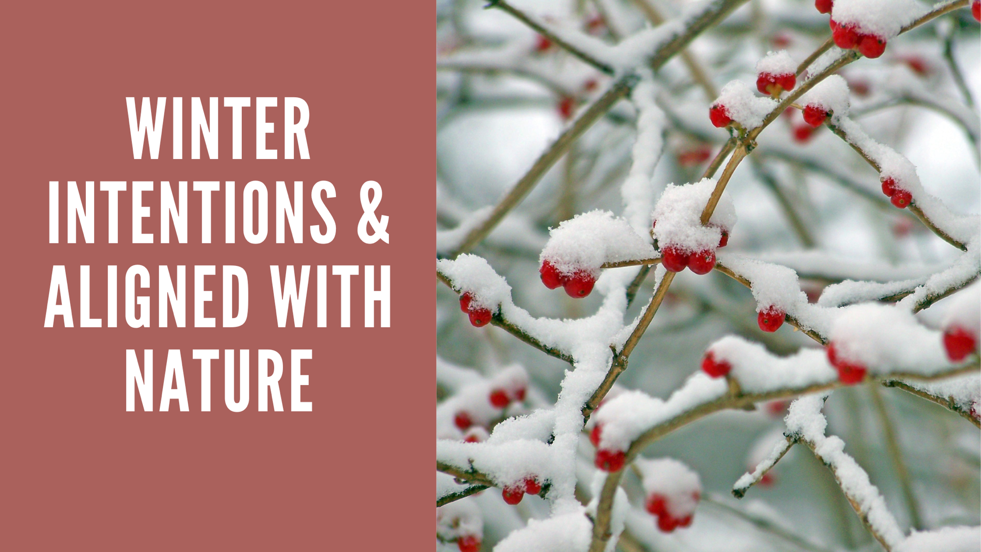 Wintering: how to be aligned with nature and embrace true winter energy ...